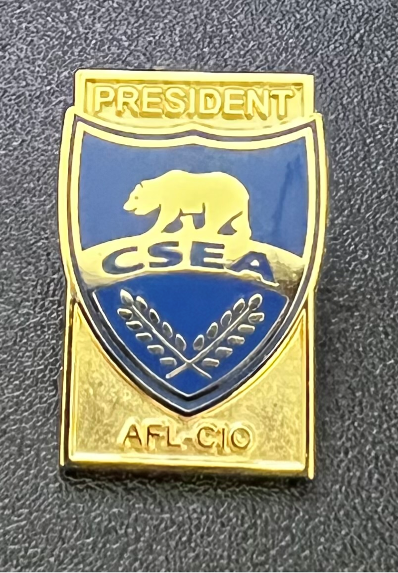 NEW Officer/Service Lapel Pins | CSEA E-Store